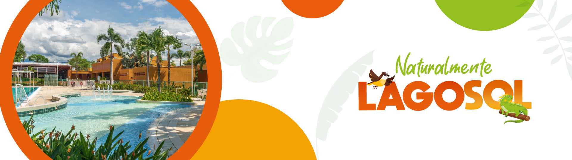 Parque Acuático Lagosol, ¡Sumérgete en la diversión!
